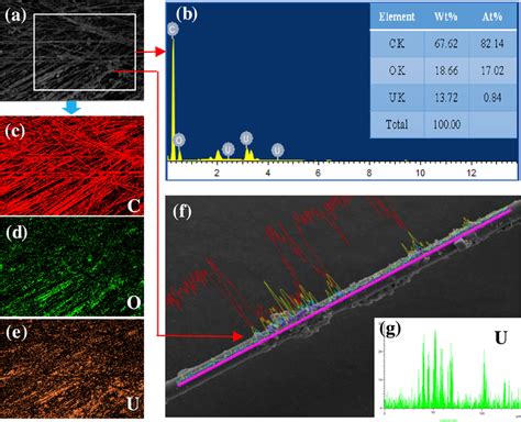 Sem And Eds Results Of Used Cathode A Sem Of The Cathode After Download Scientific Diagram