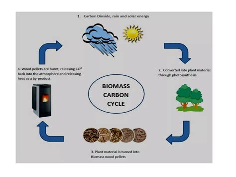 Biomass Generation And Utilization Pptx