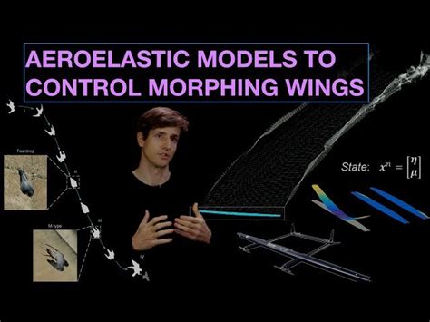 Free Video Data Driven Nonlinear Aeroelastic Models Of Morphing Wings