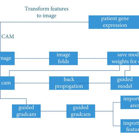 Flow Chart Of The Proposed Work Download Scientific Diagram