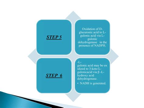 Uronic Acid Pathway Pptx
