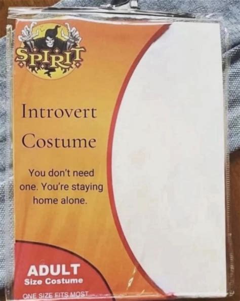 33 Hilarious Memes Every Introvert Will Relate To So Syncd