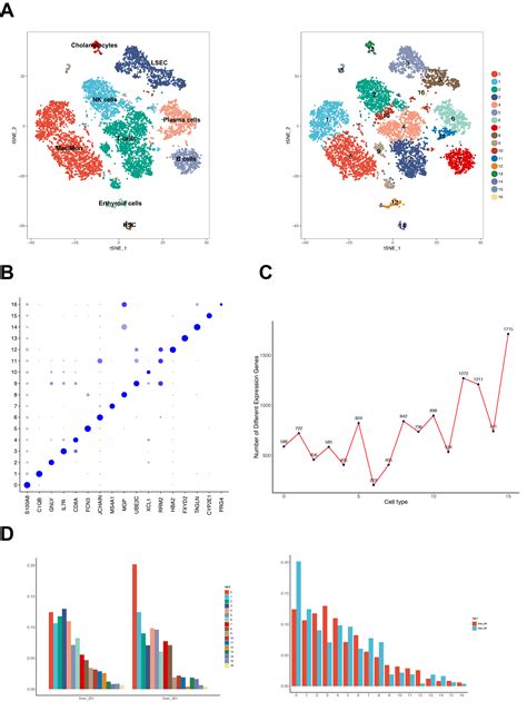 single cell rna sequencing reveals gene expression profiling of