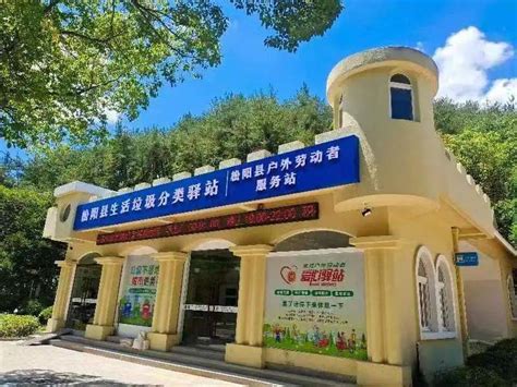 注意！丽水一地全面实行生活垃圾定时定点投放松阳县分类时间