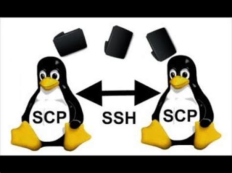 How To Use Putty WinSCP And Why They Are Useful YouTube