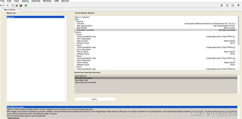 基于spm12对fmri数据的分析(超详细) Csdn博客 基于spm12对fmri数据的分析(超详细) Csdn博客