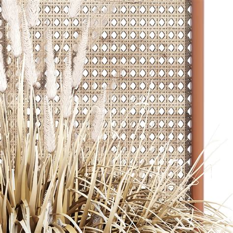 Paradiso Model Turbosquid 1899317