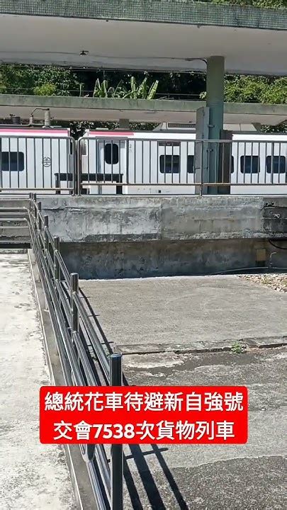 8743次待避新自強號，與7538次貨物列車交會，太爽了一次3台車記得按訂閱 記得按讚 Youtube