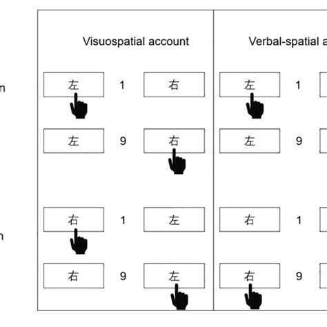Visuospatial And Verbal Spatial Account Of Snarc Effect Download Scientific Diagram