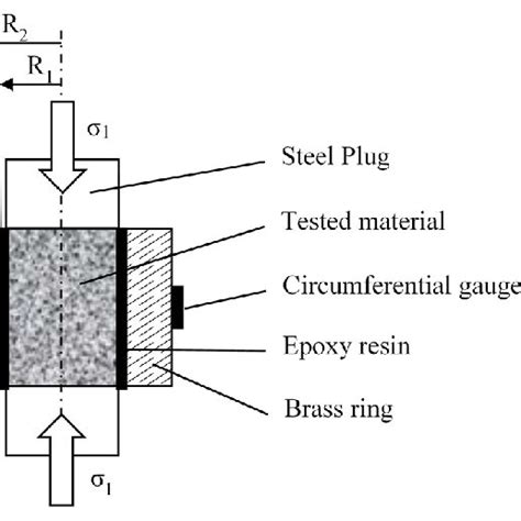 2d Section Of The Confined Compression Assembly Download Scientific