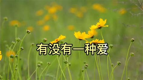 朋友別哭 牛仔音樂 Youtube