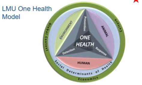 Lmu Cvm 724 One Health Ii Final Exam Review Flashcards Quizlet