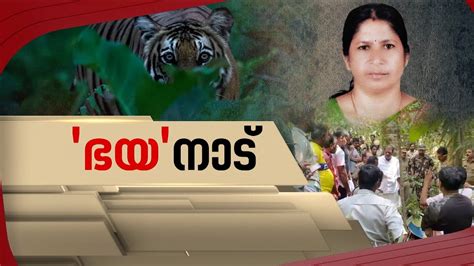 ജീവനെടുത്ത് കടുവ രാധ ഒടുവിലെ ഇര Spot Reporter 24 Jan 2025 Youtube