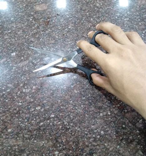 Stainless Steel Stag Hair Cutting Scissors For Professional Size 6