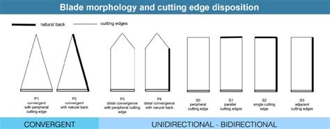 Figure S2 Schematization Of Blade Variability In Relation To The