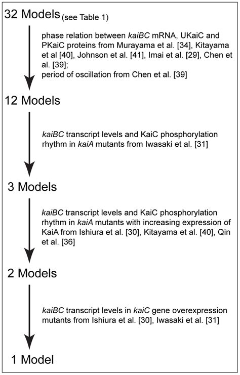 Workflow Of The Model Selection Process Download Scientific Diagram