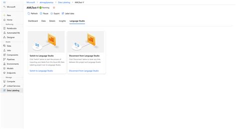 在 Language Studio 中使用 Azure 机器学习标记 Azure AI services Microsoft Learn