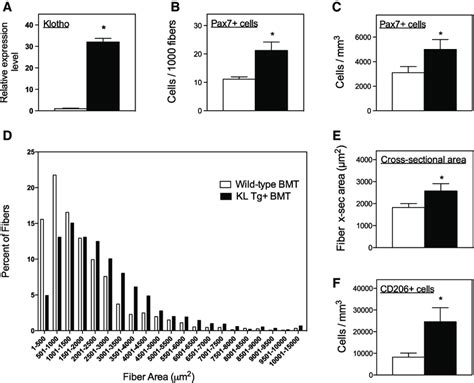 Transplantation Of BMCs From Klotho Transgenic Mice Increases Klotho