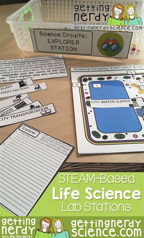 Getting Nerdy Science Life Science And Biology Lessons Artofit