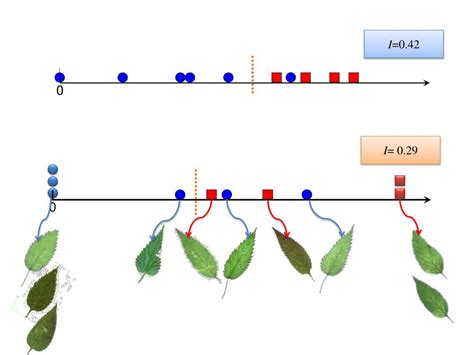 ppt time series shapelets a new primitive for data mining powerpoint presentation id 5871457