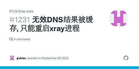 无效DNS结果被缓存 只能重启xray进程 Issue 1231 XTLS Xray core GitHub