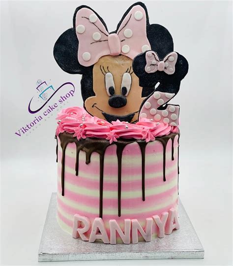 Minnie Mouse Cake Birthday Cake Egg Free Sponge