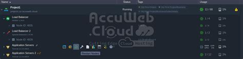 Configure Custom Environment Variables AccuWeb Cloud