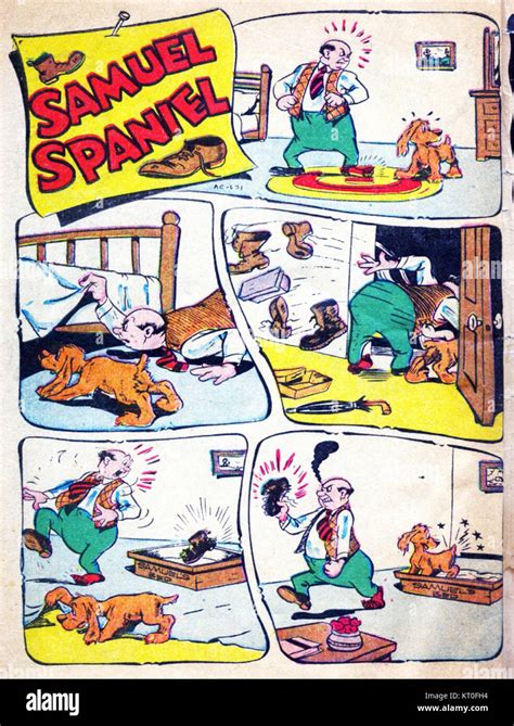 Blackterror16509 Appears To Refer To A Document Reference Number Or Artifact Likely