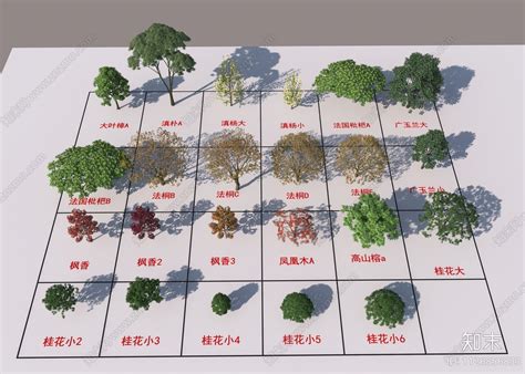 植物组合3d模型下载【id1126856833】知末3d模型网