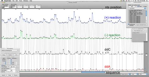 Rna Secondary Structure Prediction Using High Throughput Shape Protocol