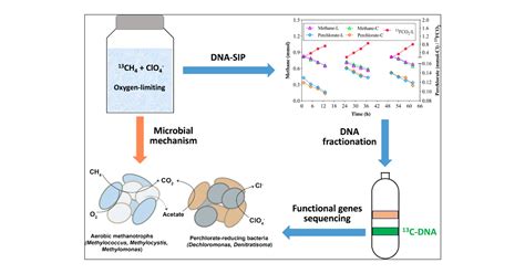 Methane Driven Perchlorate Reduction By A Microbial Consortium Environmental Science And Technology