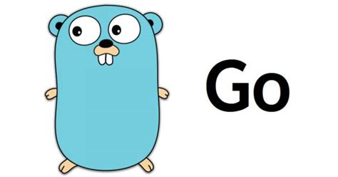 Eidy Marien Carbo Pena On Linkedin Golang Godeveloper Golang