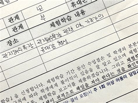 초등학교 교외체험학습 신청서 친인척방문 예시 결과보고서까지 네이버 블로그