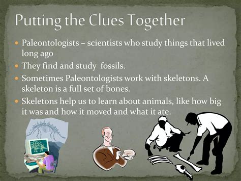 Fossils Are Fun Ppt