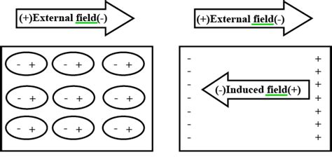 How Does The Electric Field Inside A Dielectric Decrease When It Is