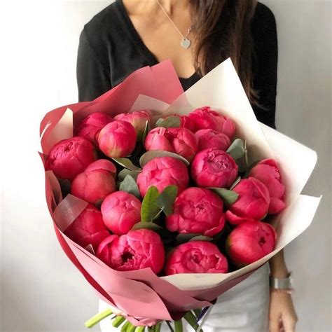 Купить букет из 15 коралловых пионов по доступной цене с доставкой в ...