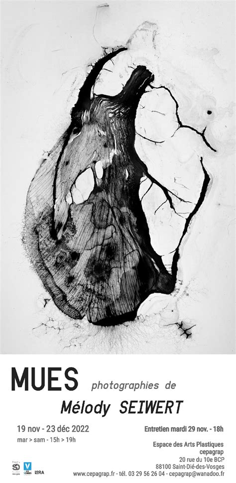 Exposition De Mélody Seiwert Artiste Photographe Et Intervenante Au