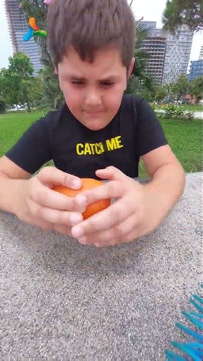 დინოზაურის კვერცხი ვიყიდეთ Youtube