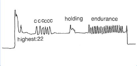 Recordings Of Vaginal Squeeze Pressure Measured By Fiberoptic Download Scientific Diagram