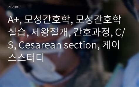 레포트