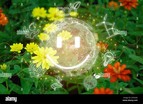 Sustainable Development And Business Operations Based On Renewable