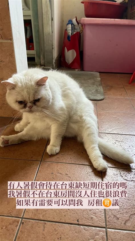 有人在台東讀書 暑期缺短期住宿的嗎？ 住宿休息板 Dcard