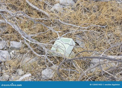 Empty Styrofoam Live Worm Container Stock Image Image Of Rocks Green