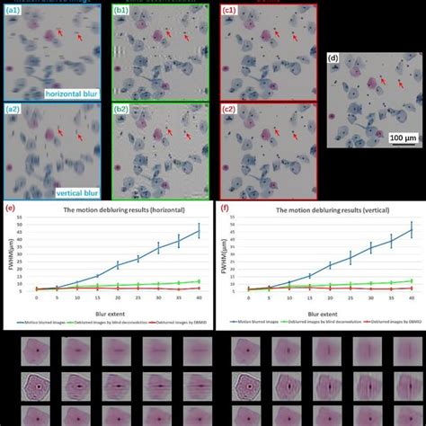 motion blur correction by blind deconvolution and our dbmid on tct