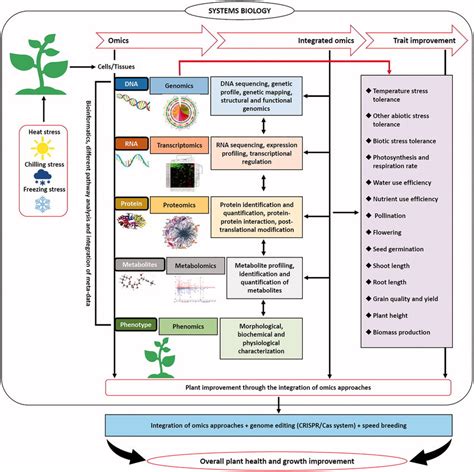 Overview Of Omics Approaches In The Context Of Systems Biology The