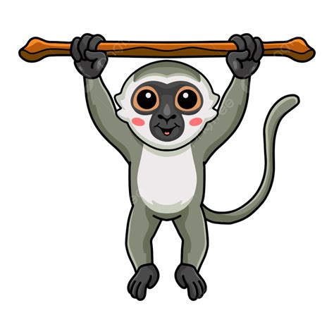 รูปการ์ตูนลิงน้อยน่ารักห้อยอยู่บนต้นไม้ Png น้อย ป่า สาขาภาพ Png