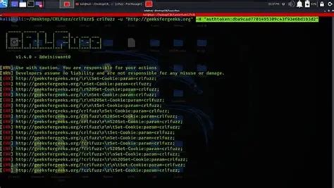 Crlfuzz A Linux Tool To Scan Crlf Vulnerability Written In Go Geeksforgeeks