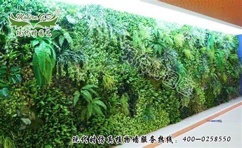 仿真绿墙 仿真植物墙 植物墙立体绿化垂直绿化立体花架pvc花箱铝合金花箱无土栽培产品 沈阳现代时园艺景观工程有限公司