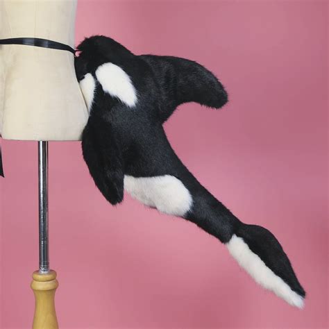 Orca Kitten Ears And Tail Set Nekotomori