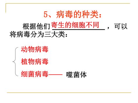 5 5 病毒 课件 共24张PPT 人教版生物八年级上册 21世纪教育网